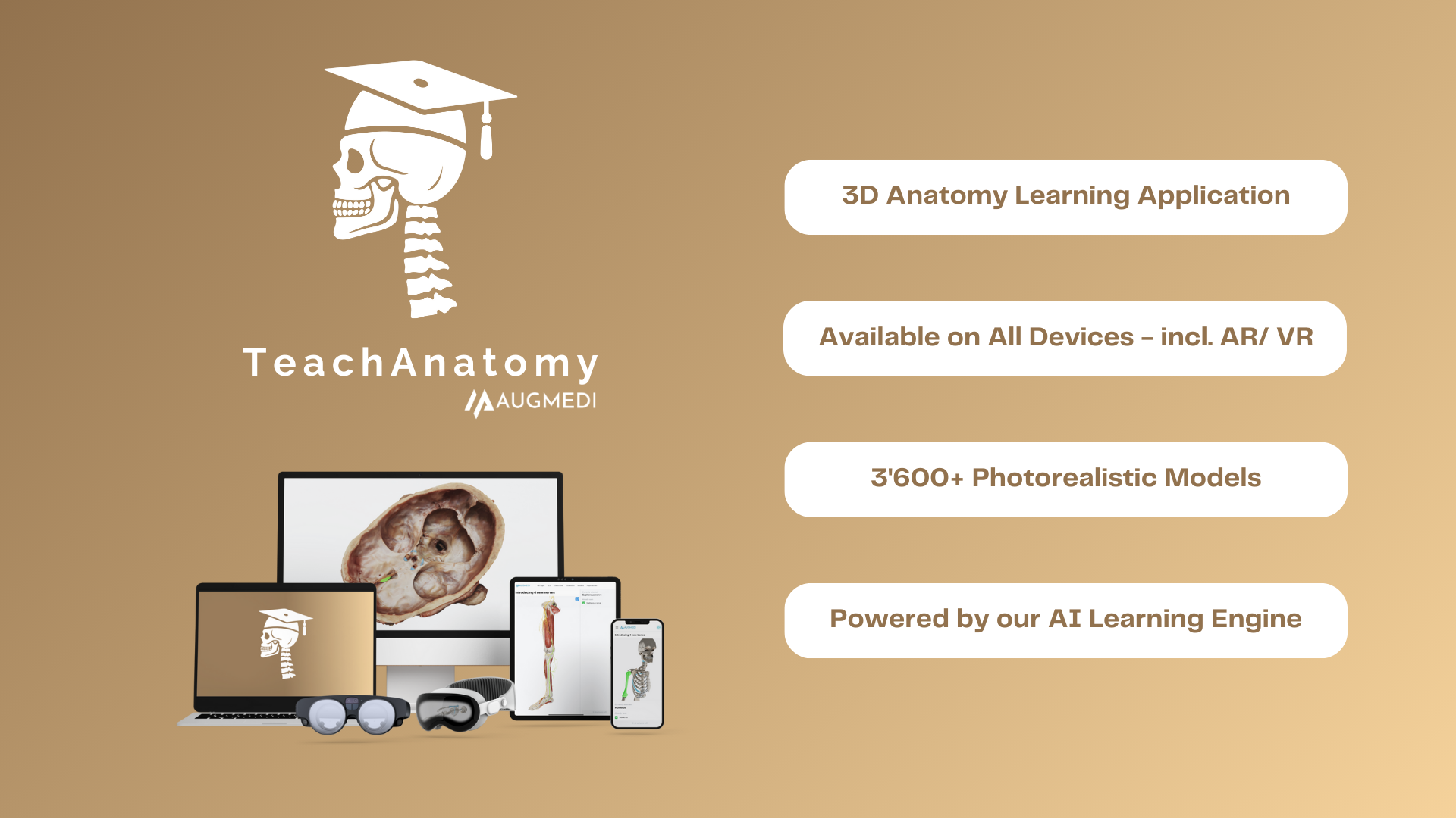 TeachAnatomy | Learn Human Anatomy in AR
